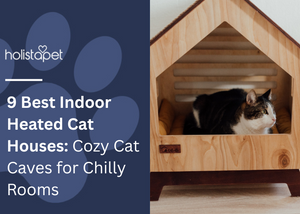9 Best Indoor Heated Cat Houses: Cozy Cat Caves for Chilly Rooms ...