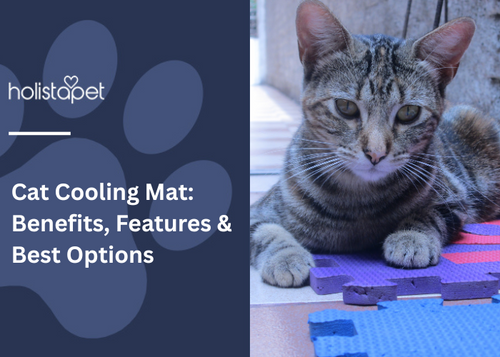 Cat Cooling Mat: Benefits, Features & Best Options