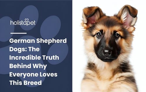 German Shepherd Dogs: The Incredible Truth Behind Why Everyone Loves T