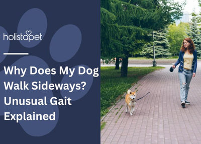 Why Does My Dog Walk Sideways? Unusual Gait Explained