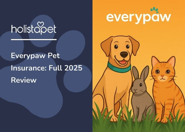 Everypaw Pet Insurance: Full 2025 Review | Holistapet
