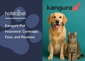Everypaw Pet Insurance: Full 2025 Review | Holistapet