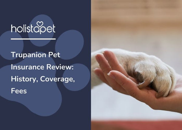 Trupanion Pet Insurance Review: History, Coverage, Fees
