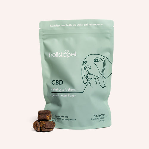 Best CBD Dog Chews - Voted #1 By Veterinarians & Consumers