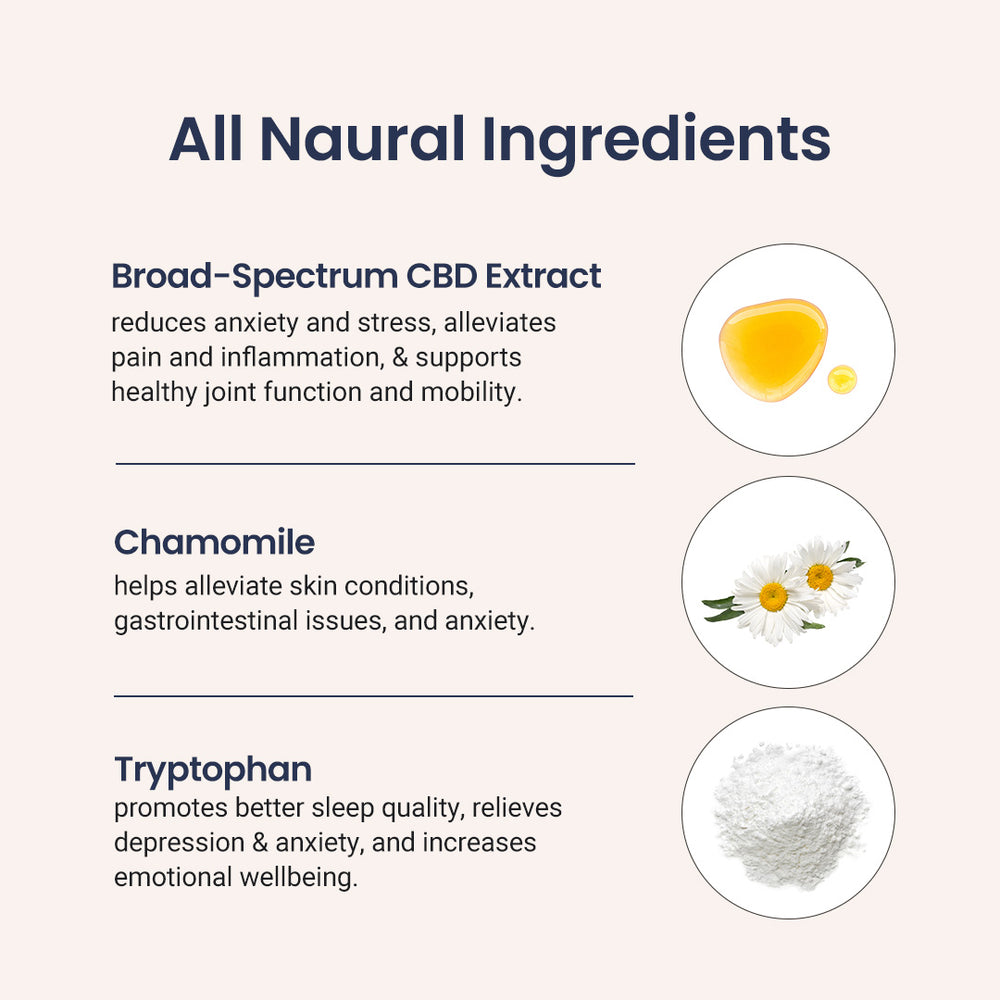 CBD Calming Chews for Dogs | HolistaPet