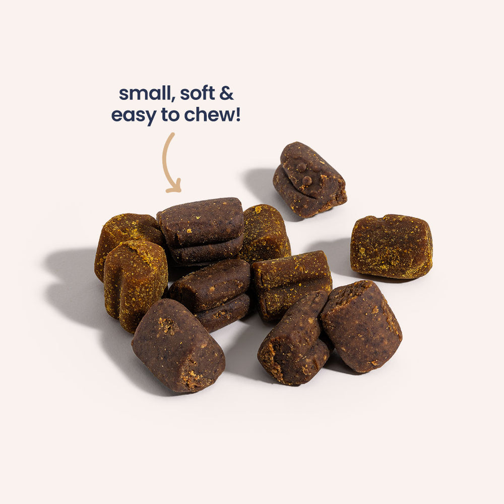 Ask A Vet Free Online - 24/7 Veterinarian Insight For All Your Pet's Needs