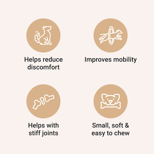 CBD Mobility Chews for Dogs: Voted #1 Best Joint Chew By Vets