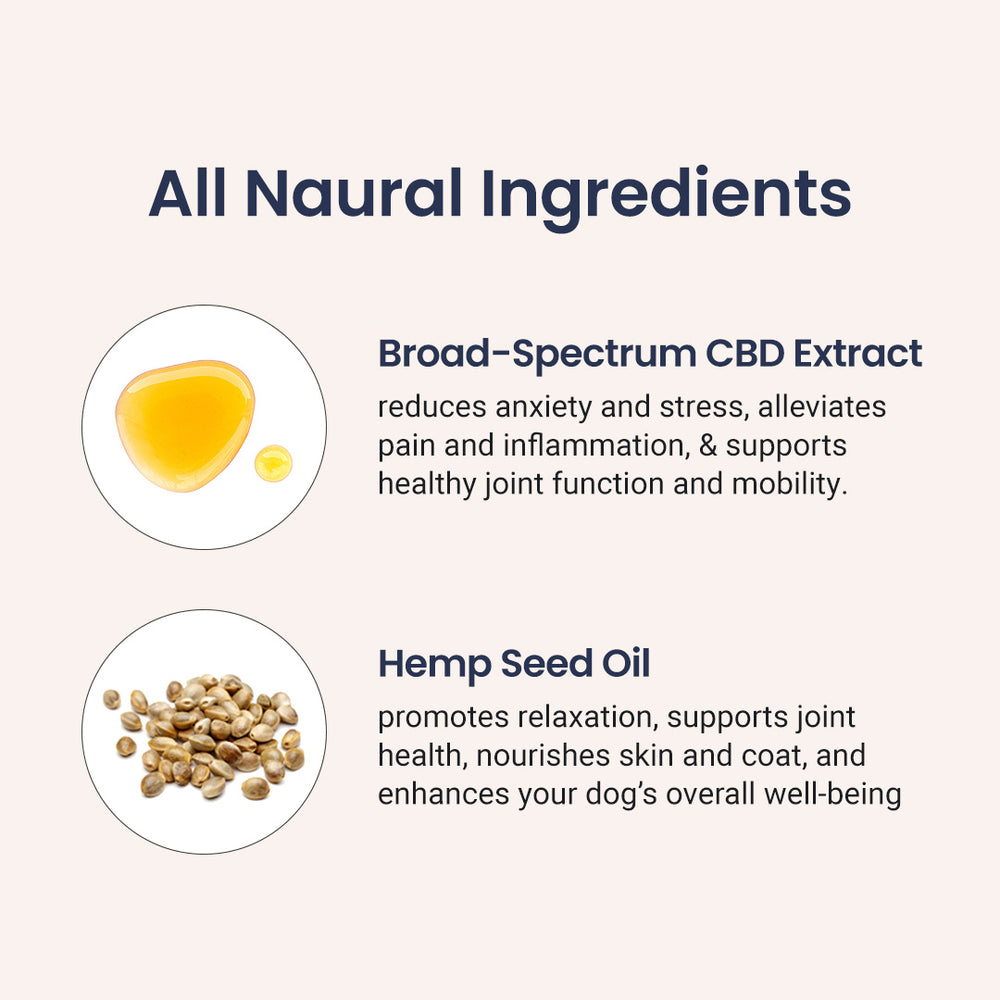 Broad Spectrum CBD Oil for Dogs | Holistapet