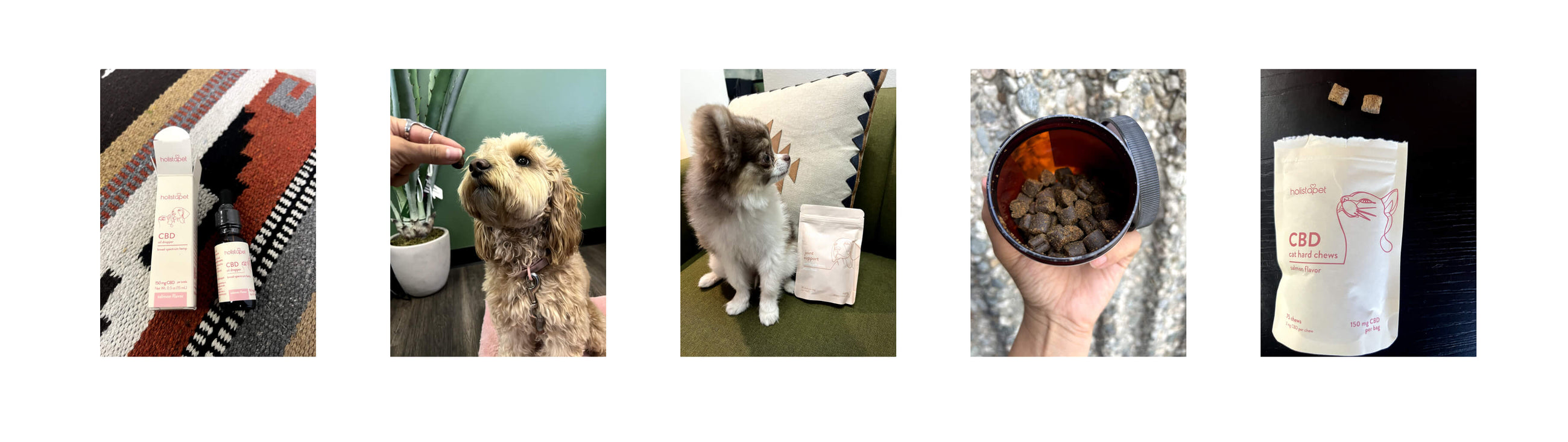 Dog Hard Chews - Top Vet & Pet Approved Natural Options | Holistapet