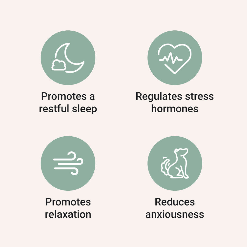 Top Rated Melatonin For Dogs - Guaranteed Plus Free Shipping