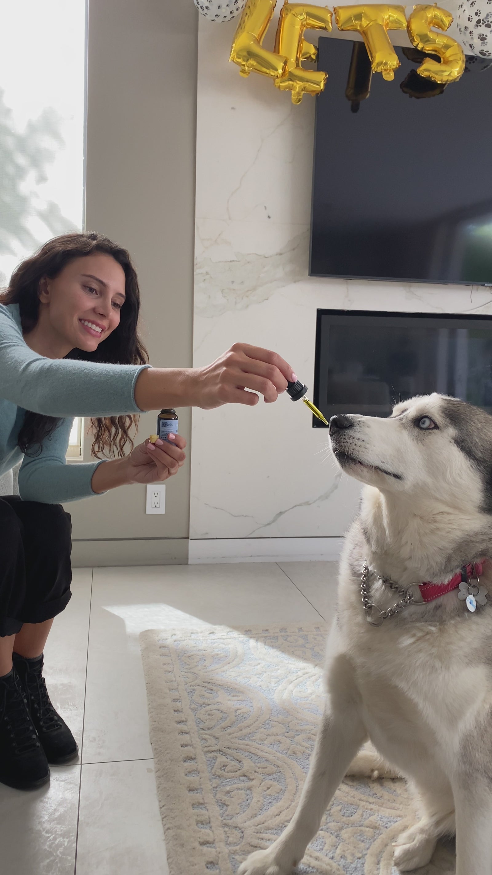 CBG Oil for Pets: Fast-Acting Formula for Dogs & Cats